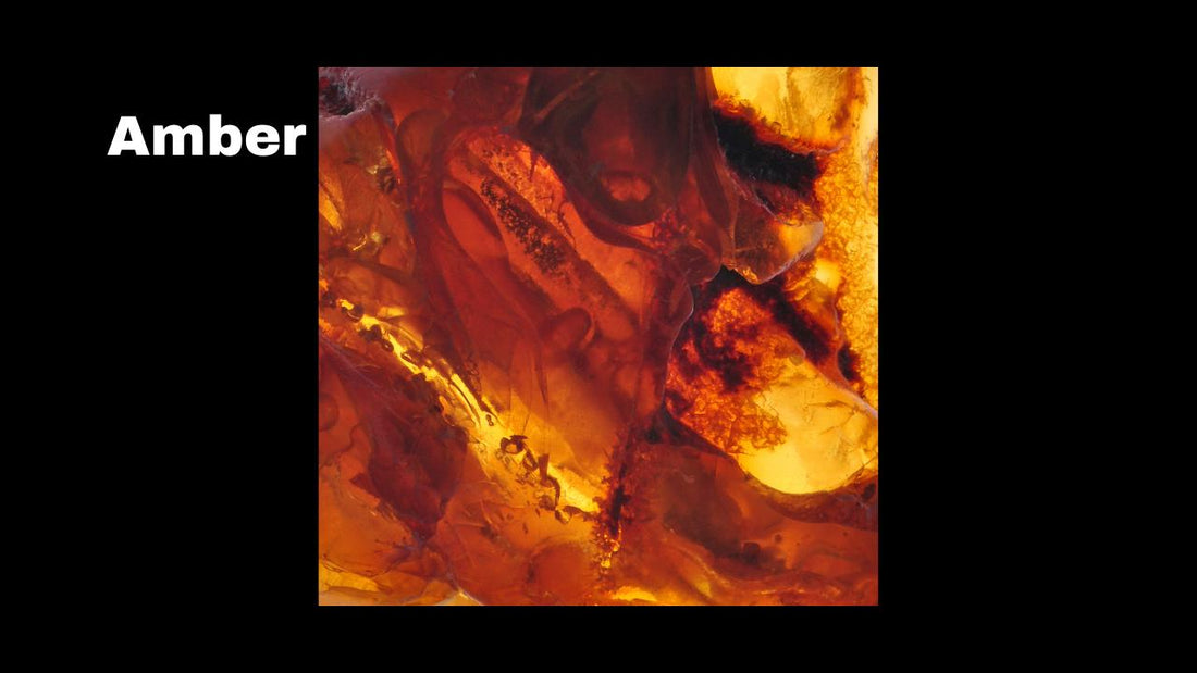 Amber thumbnail – Marysol